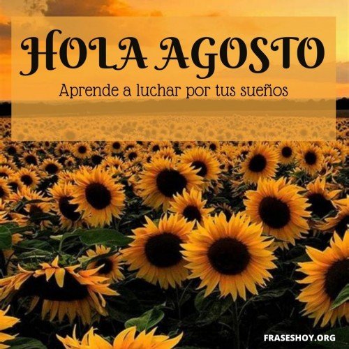 Bienvenido mes de Agosto – Un camino hacia la luz