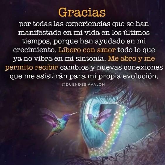 El que agradece, todo merece – Un camino hacia la luz