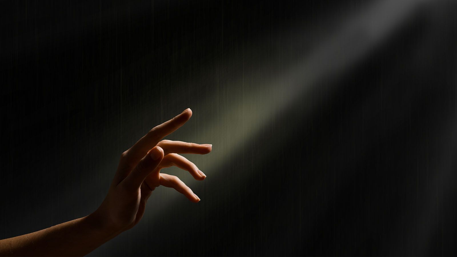 No tengas miedo a la oscuridad – Un camino hacia la luz